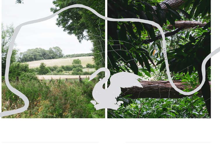Rewilding | Sustainable weddings | Treehouse weddings
