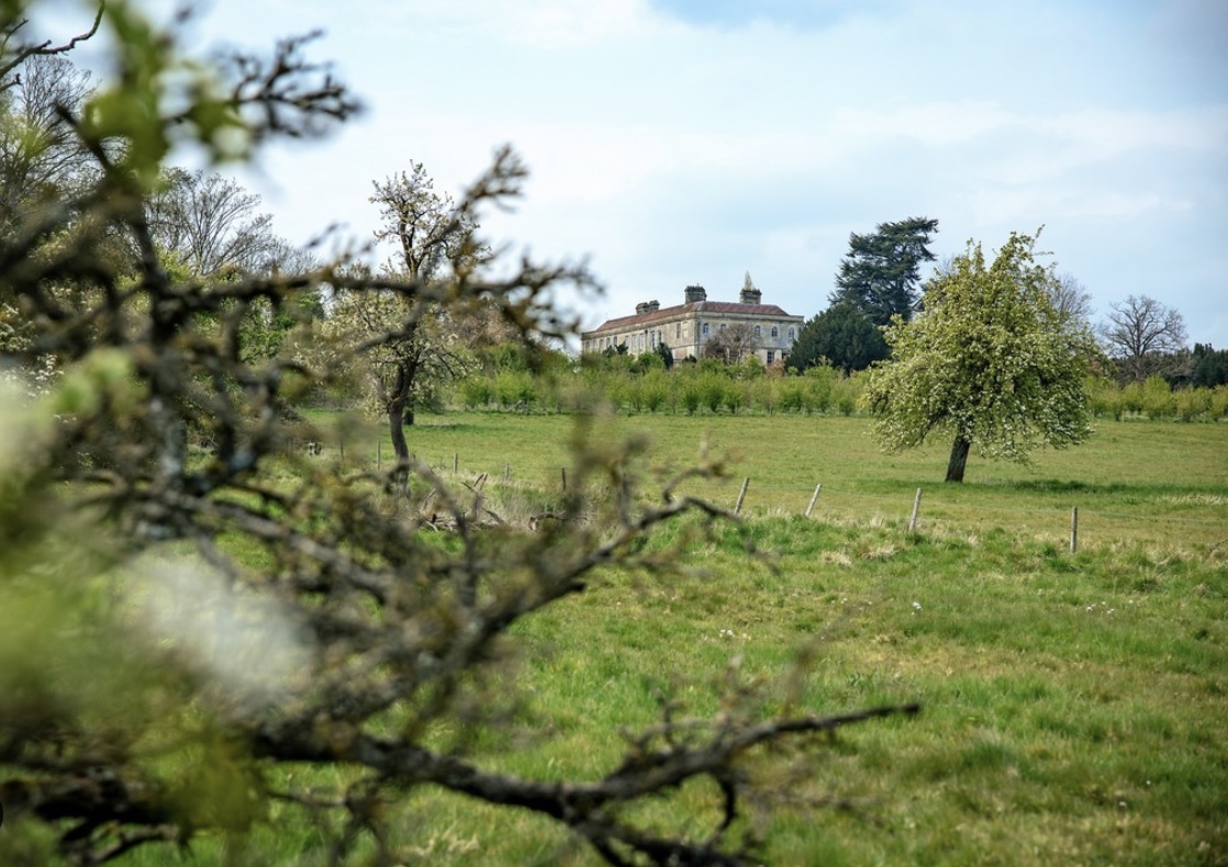 Rewilding | Sustainable weddings | Treehouse weddings