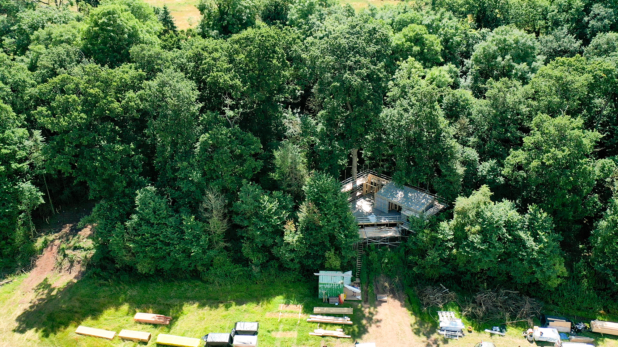 An update on the rewilding project at Elmore Court