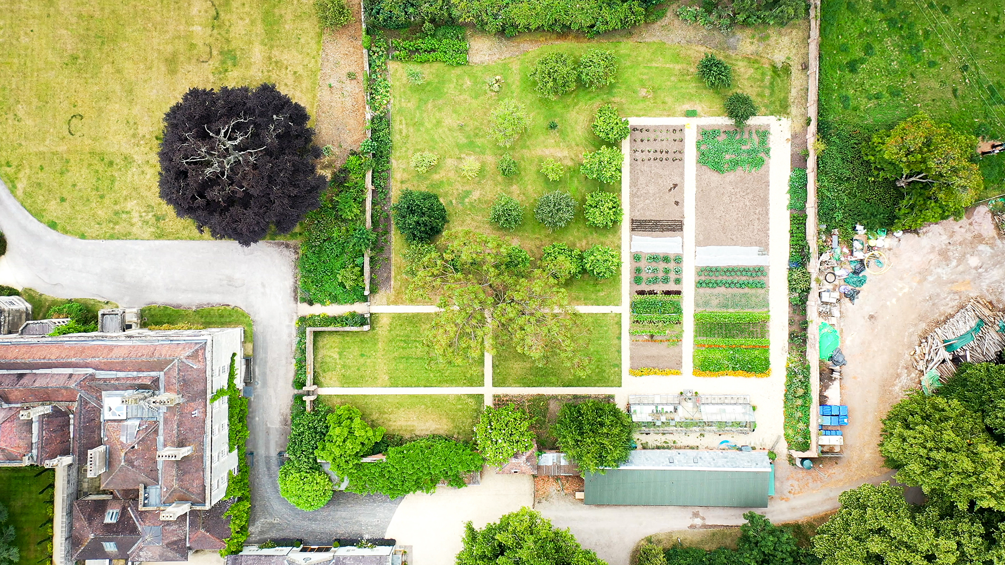 An update on the rewilding project at Elmore Court